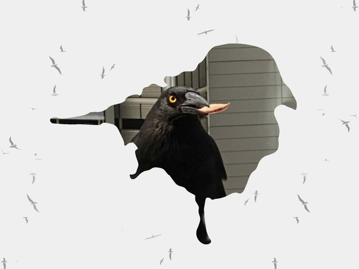 How Lyfer Started: A Journey of Birdwatching - Lyfer